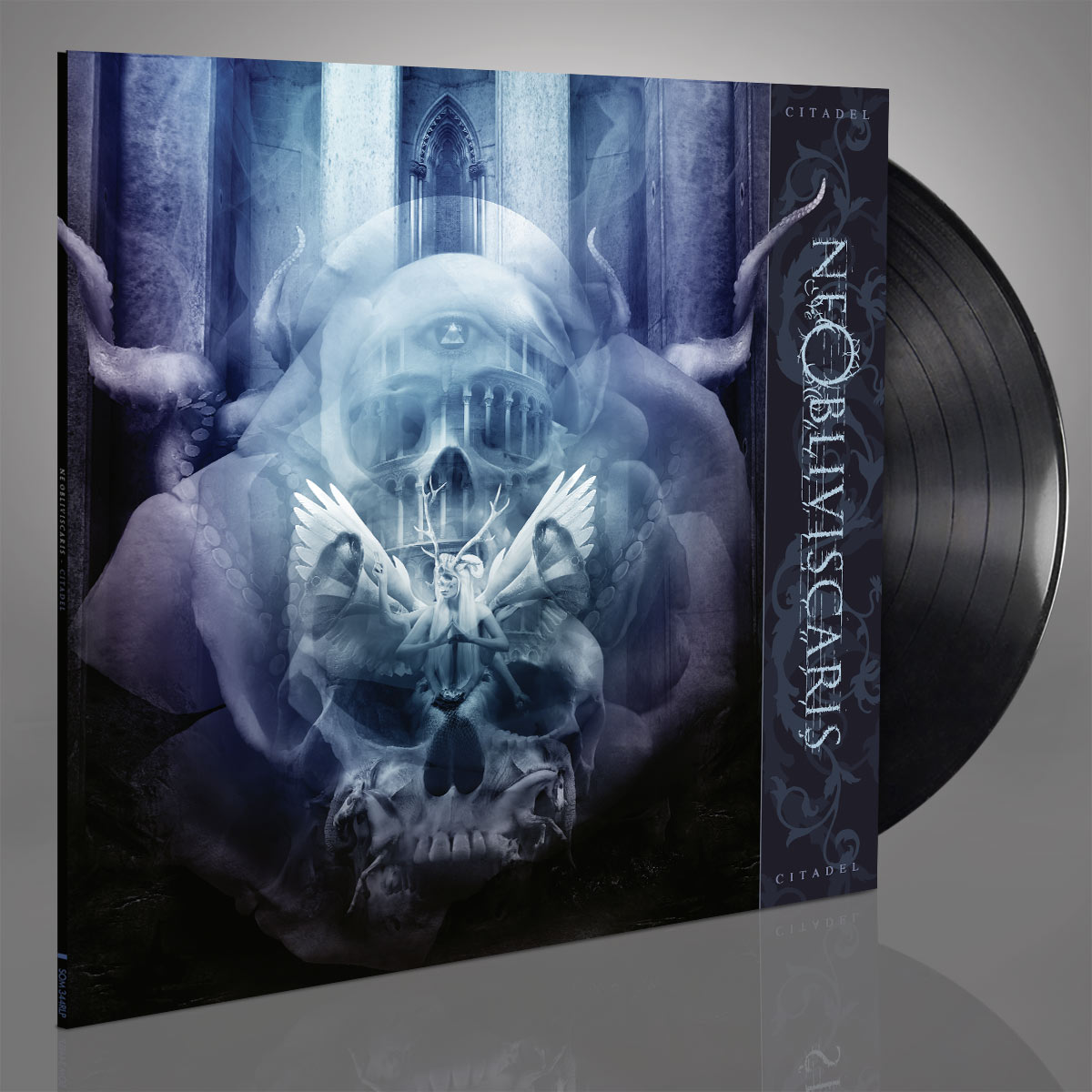 10th Anniversary Citadel Remaster Black Vinyl – JSR Direct